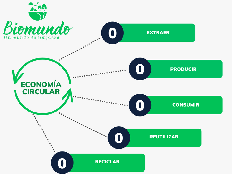 La Economía Circular y sus Beneficios – Biomundo Ecuador